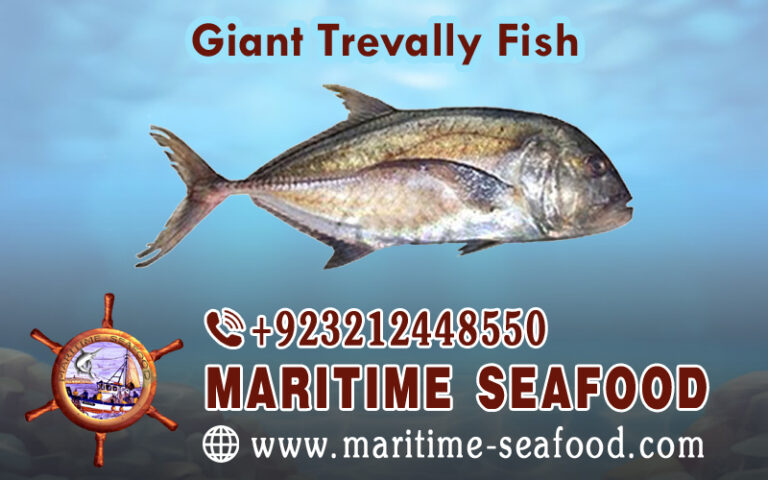 Fish Exporter Pakistan Fish Packer and Exporter Pakistan