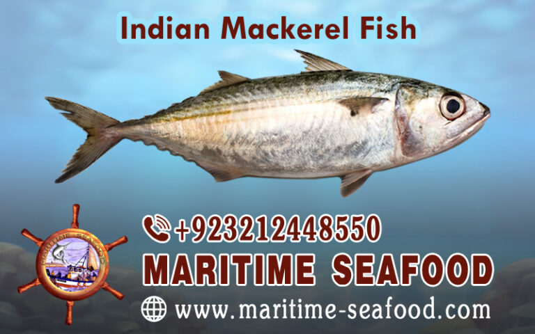 Fish Exporter Pakistan Fish Packer and Exporter Pakistan